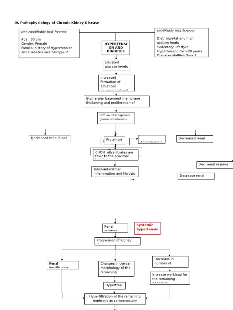 Modifiable Risk Factors: Non-Modifiable Risk Factors:: IV ...