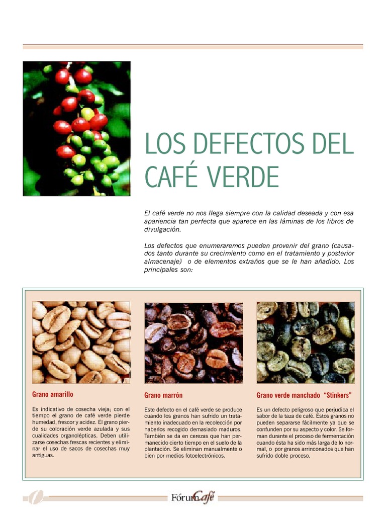 Los defectos del Cafe Verde.pdf | café | Comida y bebida