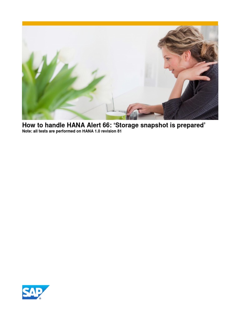 HANA Alert 66 Storage Snapshot Is Prepared | PDF | Backup | Computer ...