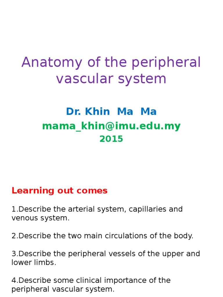 Anatomy of Peripheral Vascular System | PDF | Vein | Artery