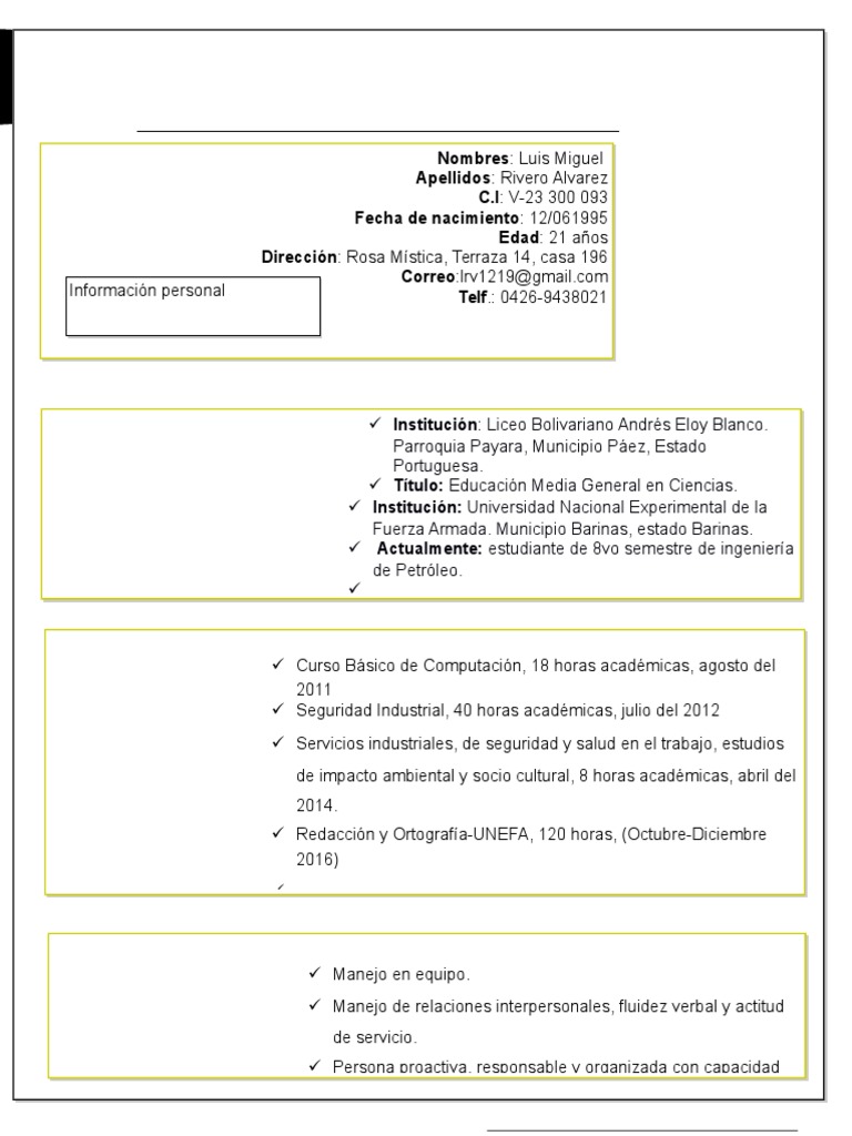 Curriculo de Luis | PDF