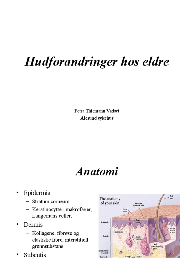 Hudforandringer Hos Eldre | PDF