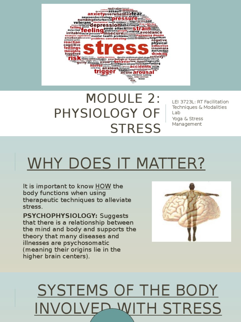 module 2 - physiology of stress | Stress (Biology) | Self-Improvement