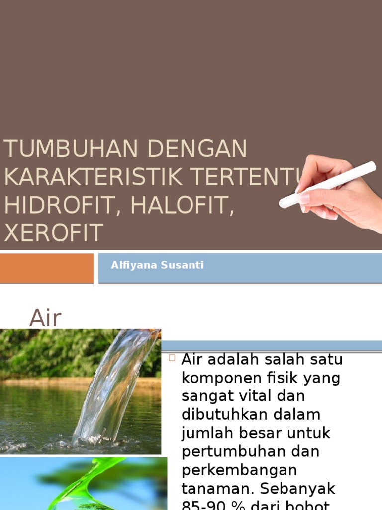 Ciri Tumbuhan Hidrofit dan Halofit | PDF | Griya & Taman | Sains ...