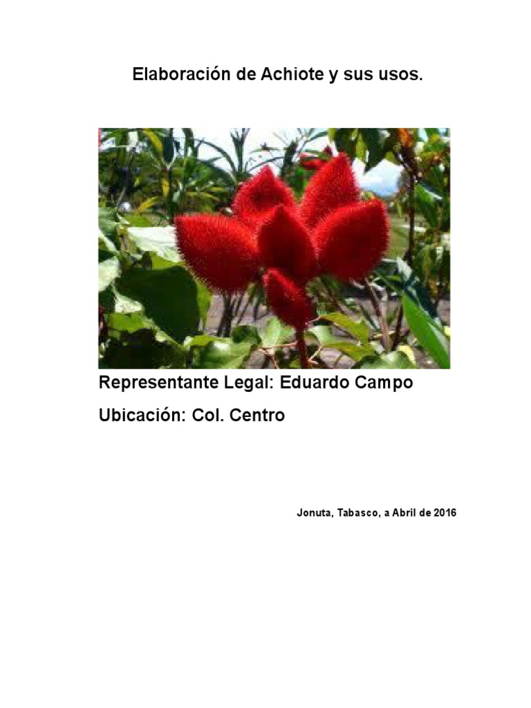 Achiote | PDF | especia | Aluminio