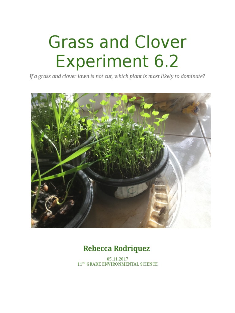 Grass and Clover Experiment 6.2: Rebecca Rodriquez | PDF | Clover | Seed