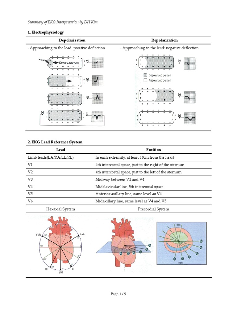 EKG Cheat Sheet | Electrocardiography | Cardiovascular System