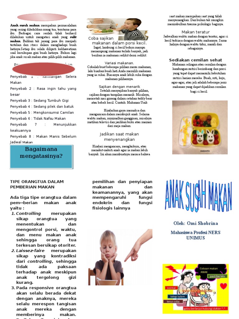 Leaflet Anak Susah Makan | PDF