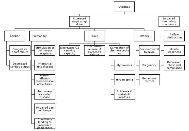 Pathophysiology Dyspnea | PDF | Lung | Clinical Medicine