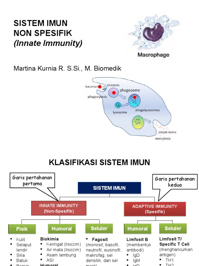 2) Sistem Imun Non Spesifik | PDF