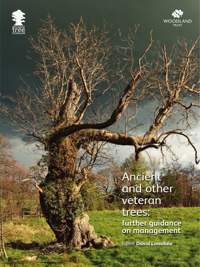 Ancient and Other Veteran Trees - Further Guidance On Management 2013 ...