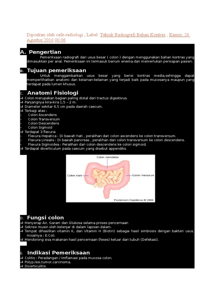 Colon in Loop | PDF