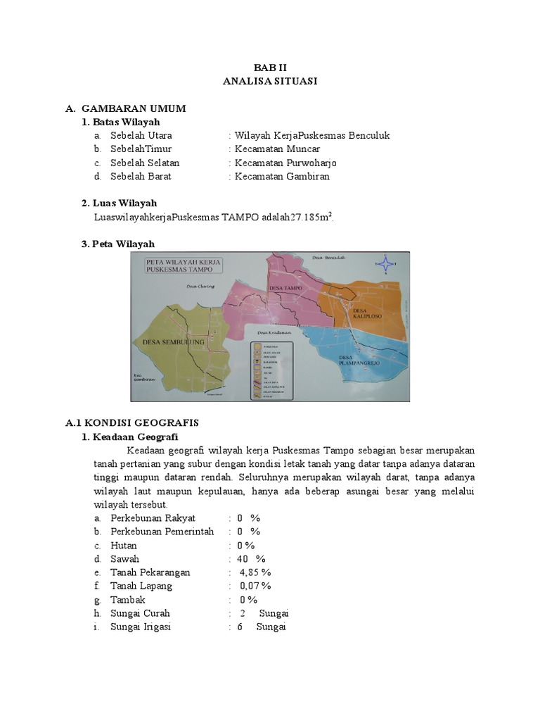 BAB II Analisa Situasi Puskesmas Tampo | PDF