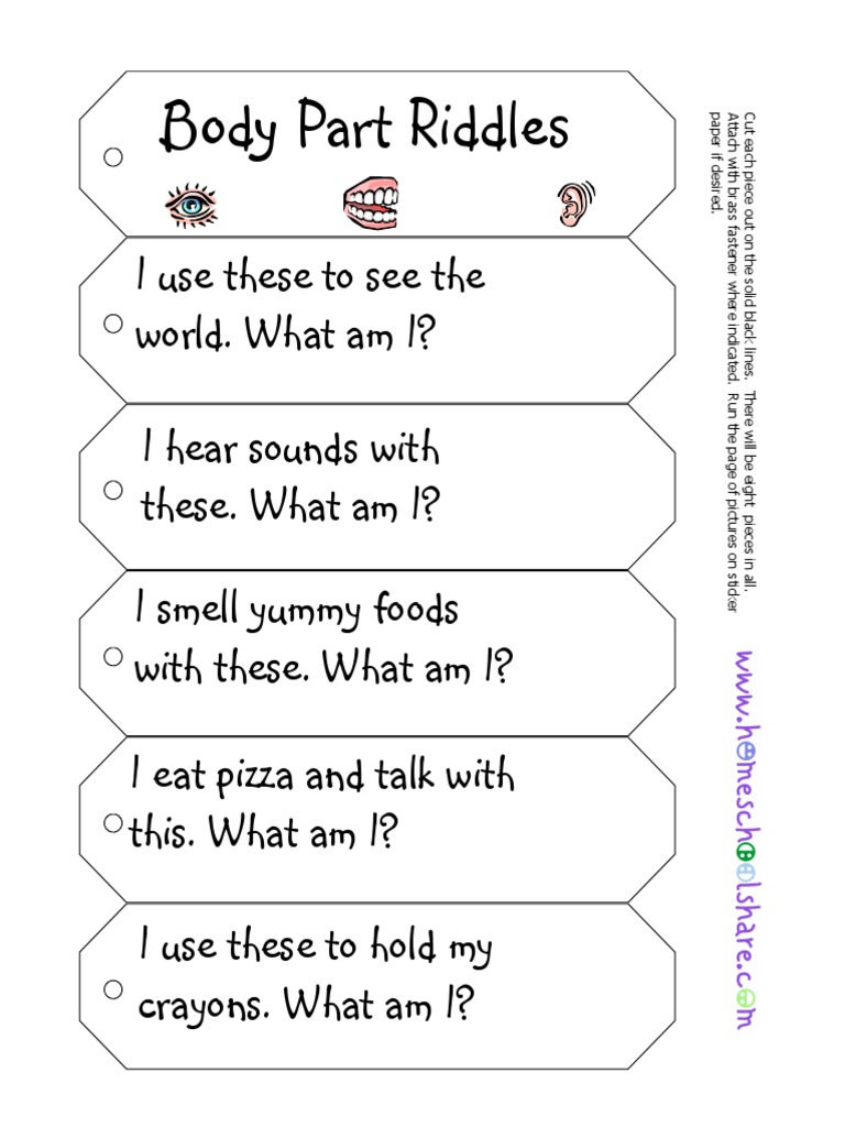 Body Part Riddles | PDF