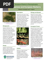 Weed Identification Guide | PDF | Clover | Leaf