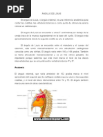 Ángulo de Louis: Anatomía y Función | PDF | Sistema musculoesquelético ...