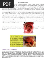 La Enfermedad de Refsum Infantil | PDF | Especialidades Medicas ...
