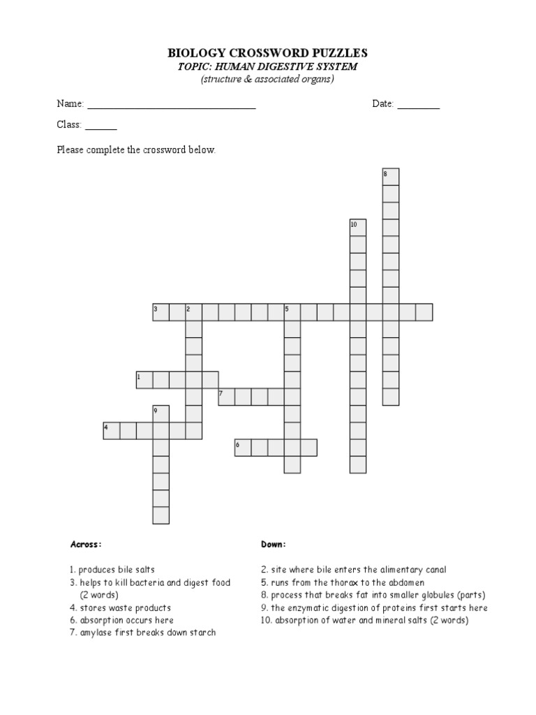 Digestive System Crossword Puzzle Printable