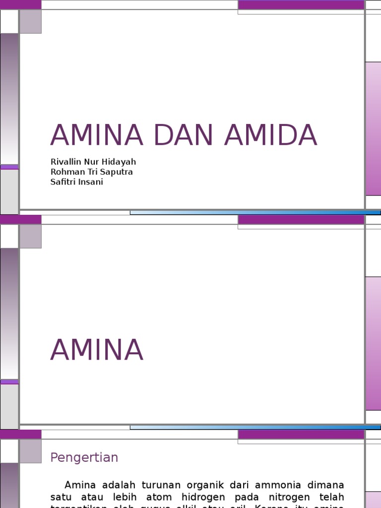 Amina Dan Amida | PDF