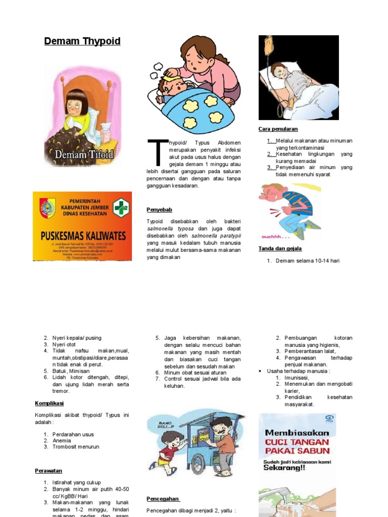 Leaflet Demam Tifoid | PDF