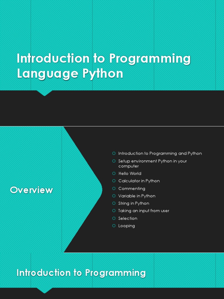Introduction To Programming Language Python | PDF | Variable (Computer ...
