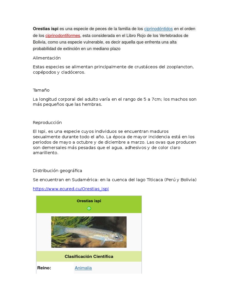 Orestias Ispi Info | PDF