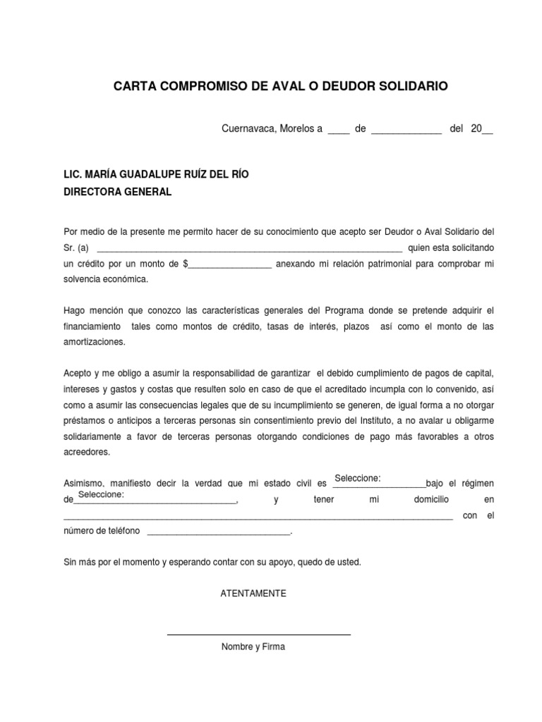 CARTA-DEUDOR-SOLIDARIO-EDITABLE.pdf