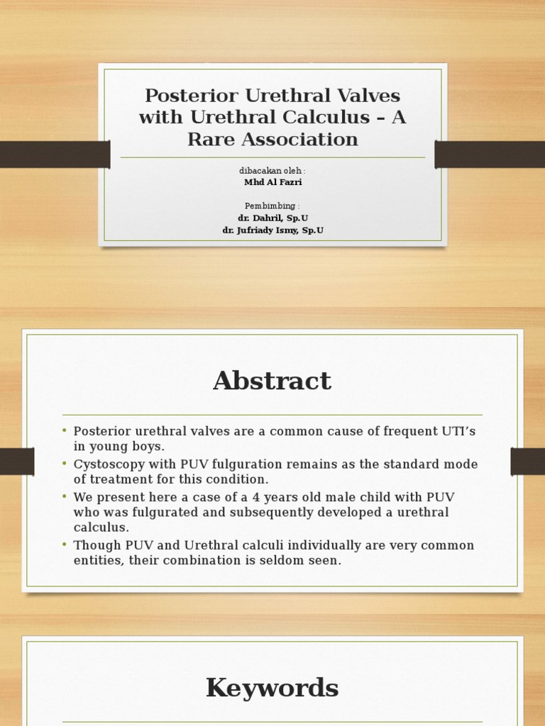 Rare Case of PUV with Urethral Calculus | PDF | Urinary Tract Infection ...