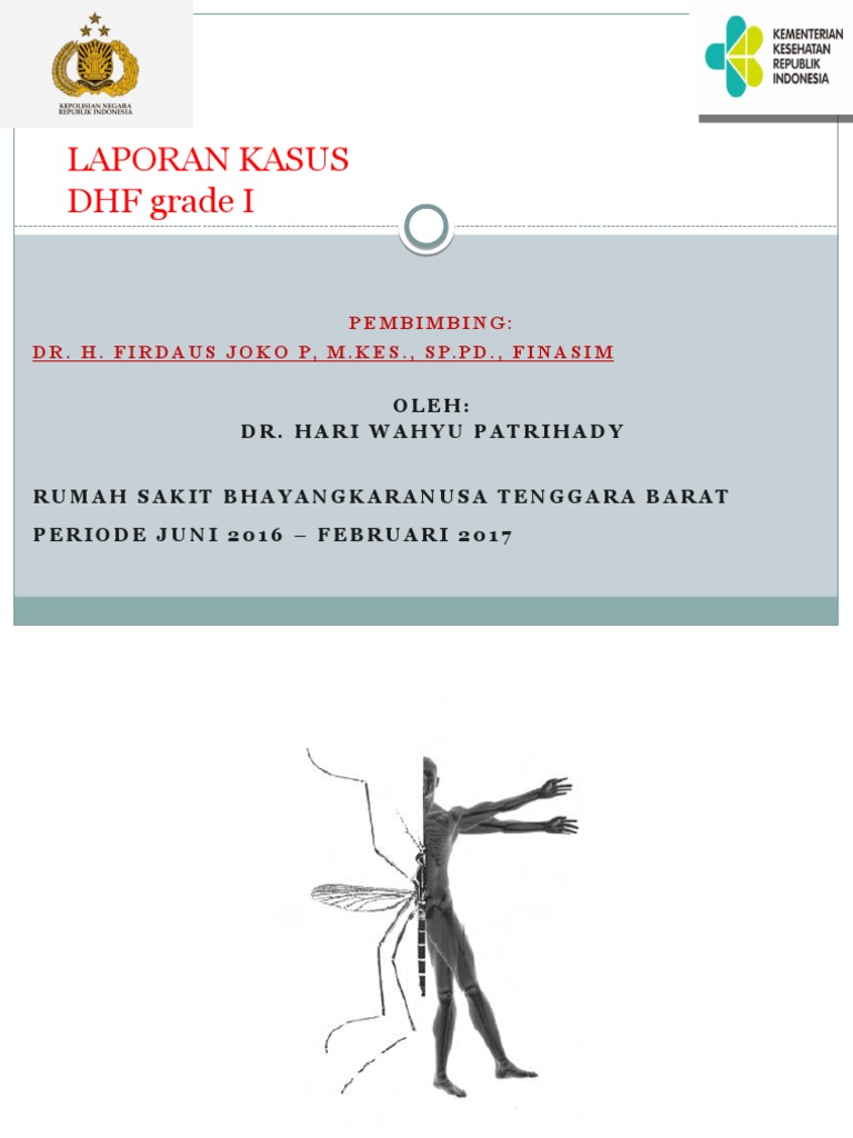Lapsus Demam Berdarah | PDF