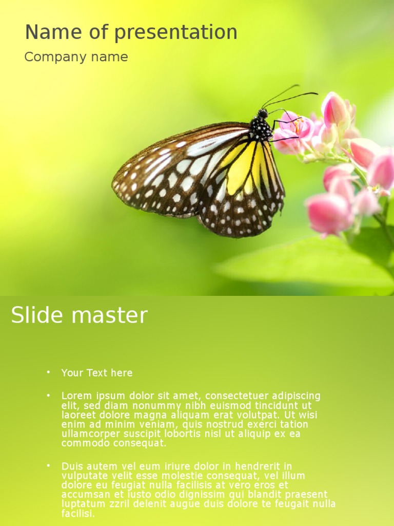 Butterfly Presentation | PDF