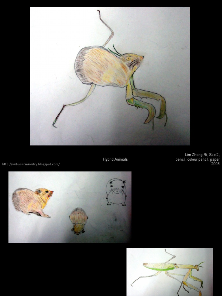 Hybrid Animals Art Project 2003 | PDF | Language Arts & Discipline | Art