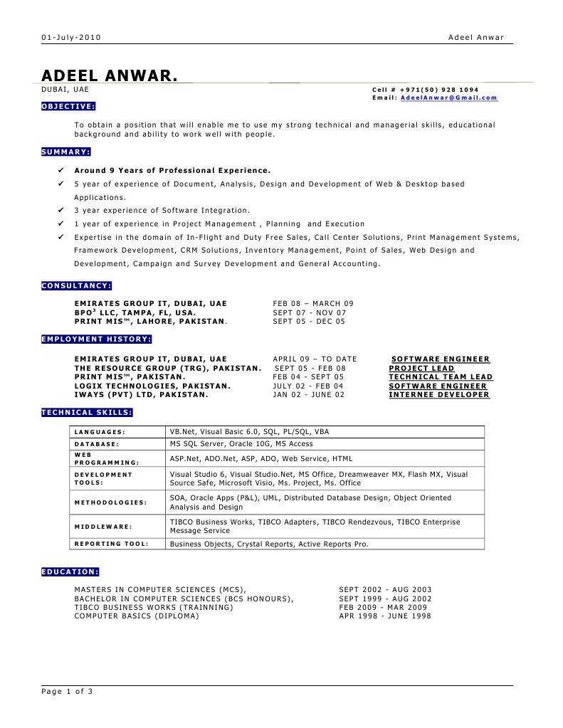Adeel Anwar Resume 2010 | PDF | Microsoft Access | Oracle Database