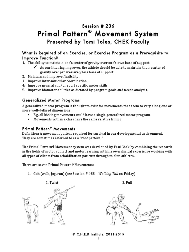 236 Primal Pattern Movement System Toles T | Recreation | Clinical Medicine