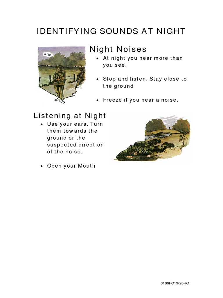 Identifying Sounds at Night Night Noises | PDF