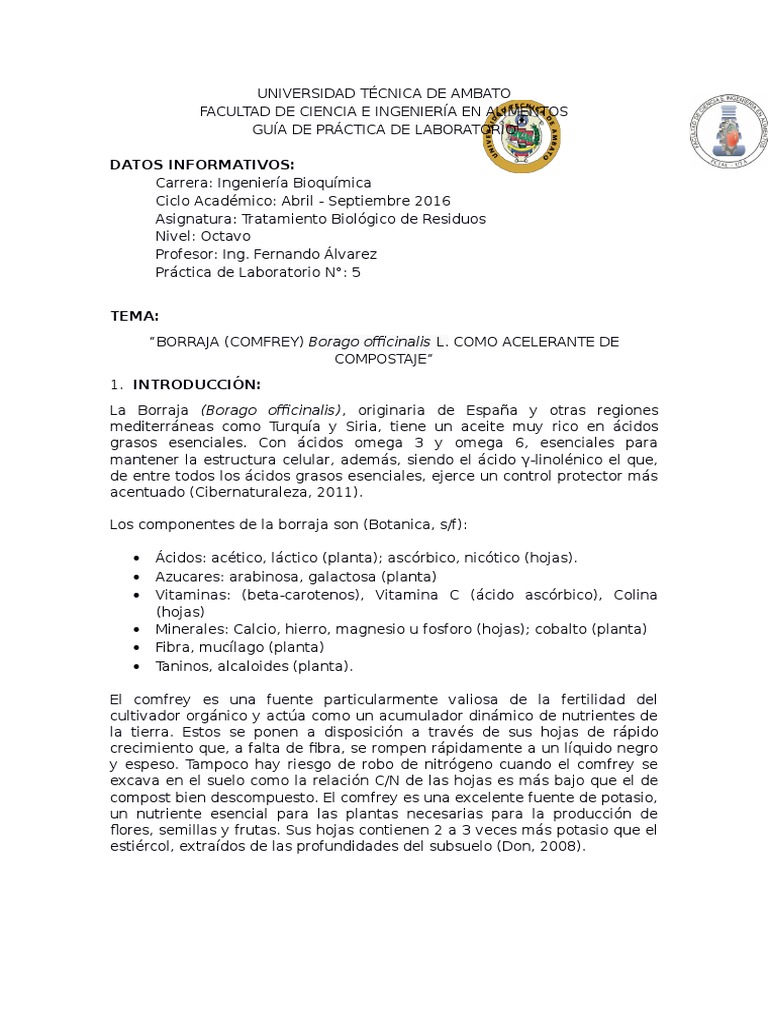 5 Borraja | PDF | Compost | Comida y bebida