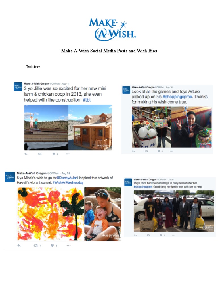 Make A Wish Work Samples | PDF