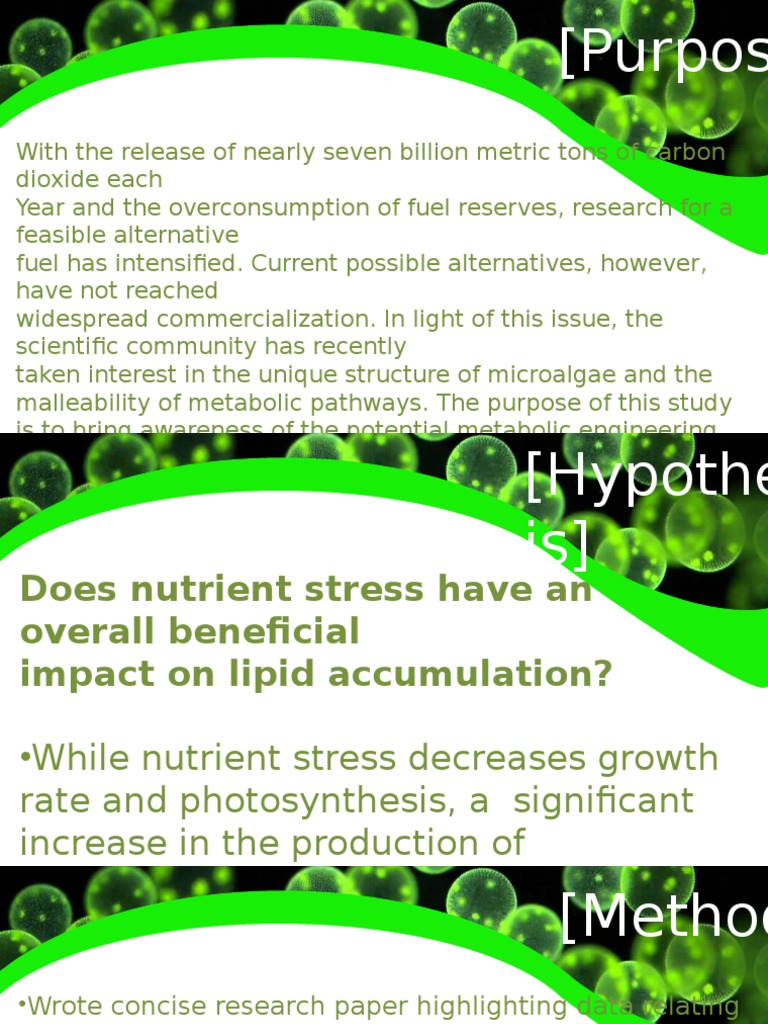 Microalgae | PDF | Lipid | Metabolism
