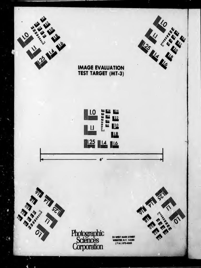 Morgan Beaver | PDF | Rongeur | Castor