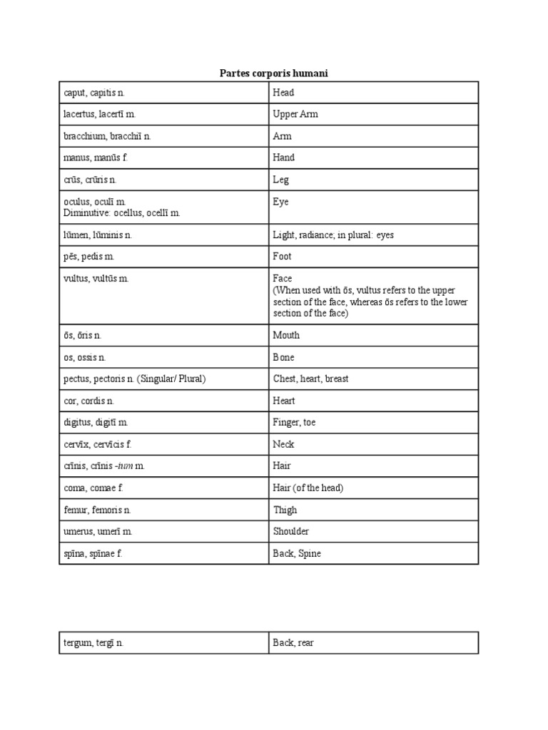 Latin Body Parts Glossary | PDF | Human Anatomy | Primate Anatomy