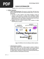 Science - G9 - Week 7 (Lessons 19-20) | PDF | Cellular Respiration ...