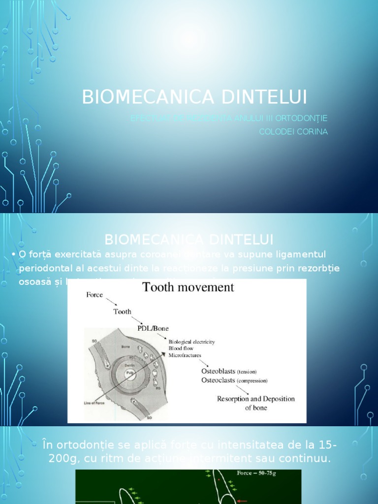 Biomecanica Dintelui | PDF