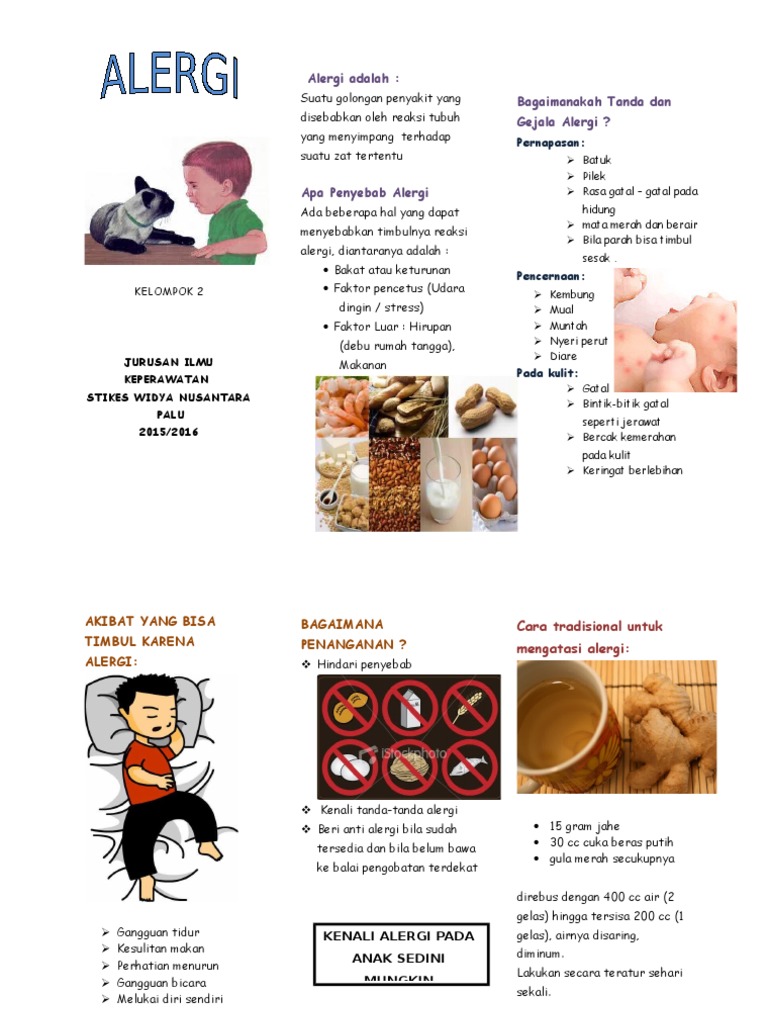 Leaflet Alergi 1 | PDF