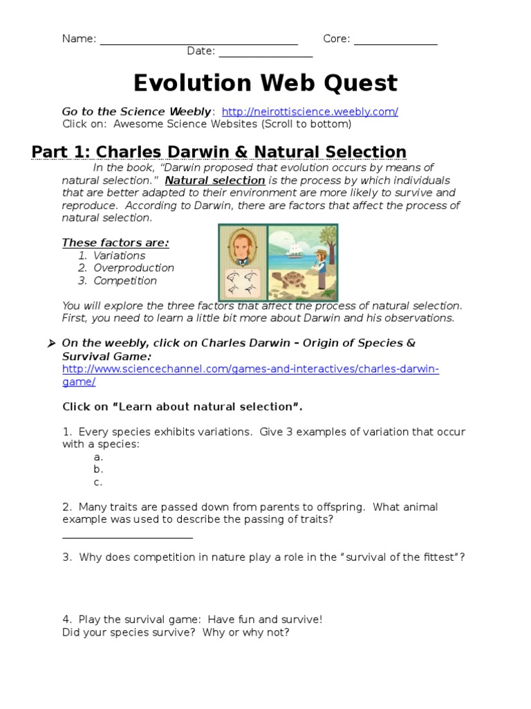 Genetics - Evolution Web Quest | PDF | Natural Selection | Genetic ...