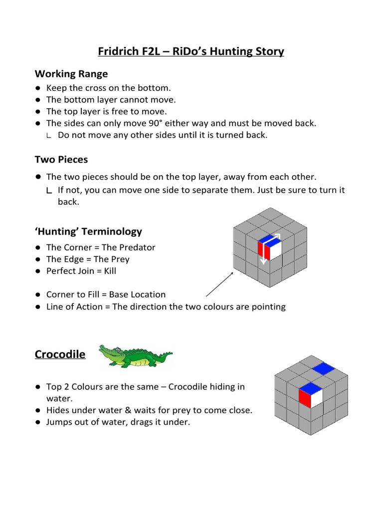 Fridrich F2L: RiDo's Hunting Guide | PDF | Home & Garden