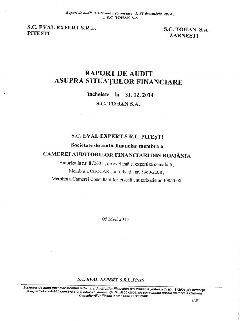 Raport de Audit | PDF