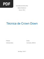 Tecnica de Step Back en Endodoncia | PDF