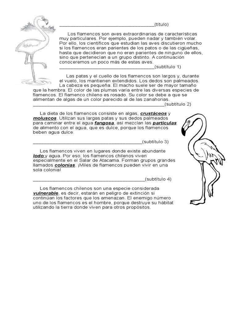 Guía Los Flamencos | Aves | Agua