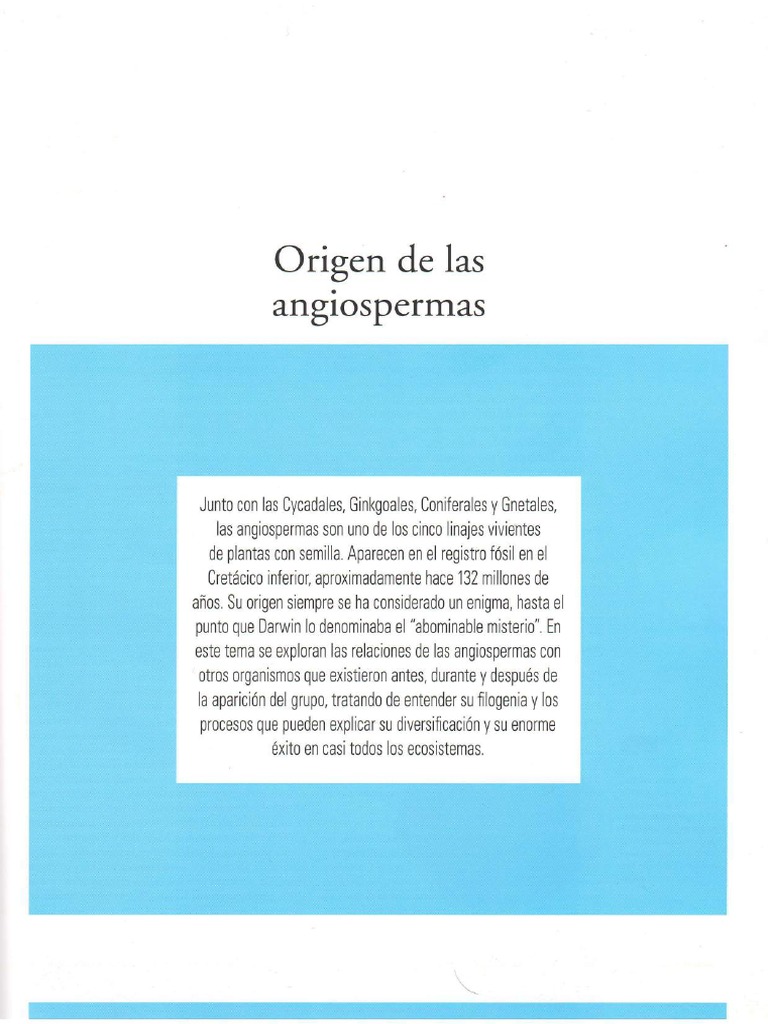 Origen y Diversificación de Angiospermas | PDF | Plantas | Cretáceo