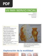 Deterioro Rostrocaudal: Etiología | PDF | Medicina | Sistema nervioso