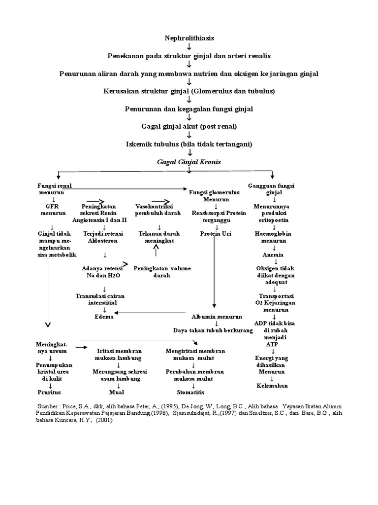 Patofis CKD EC Nefrolitiasis | PDF
